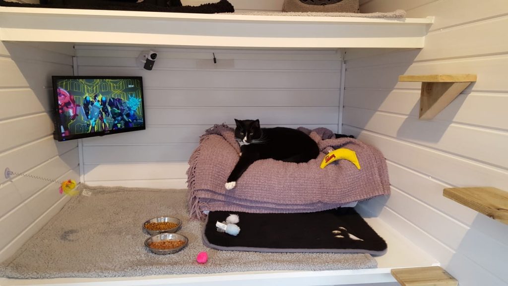 The Paddocks Luxury Cat Hotel | Cattery Preston